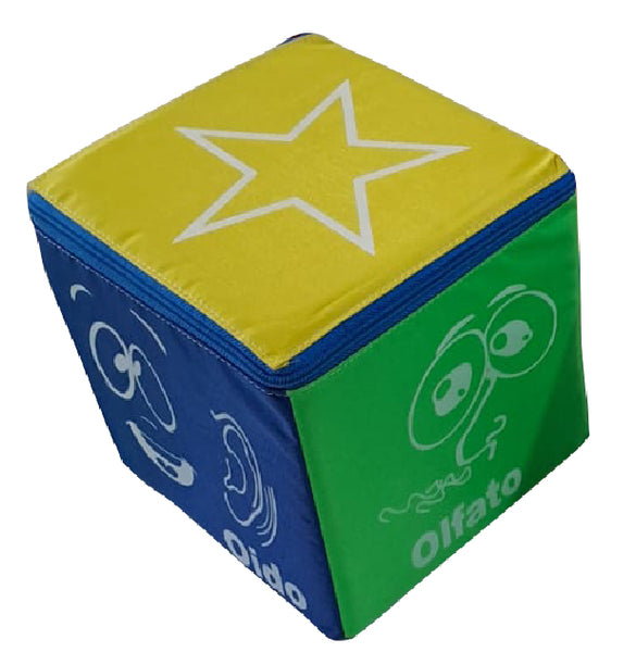 Dado - 5 sentidos – Librería Punto de Lectura