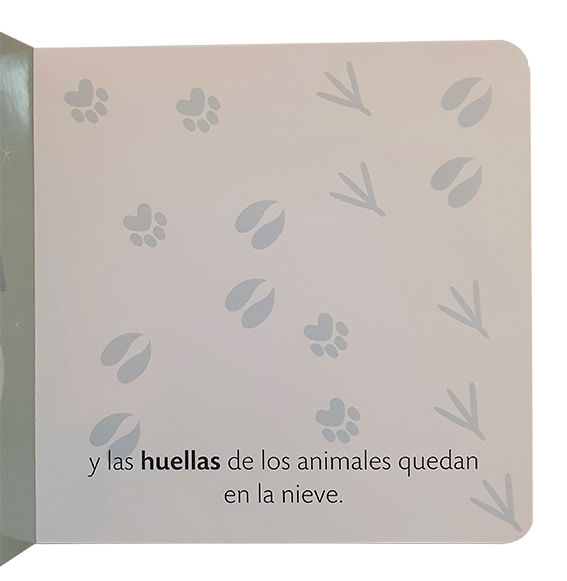 El libro del invierno – Librería Punto de Lectura